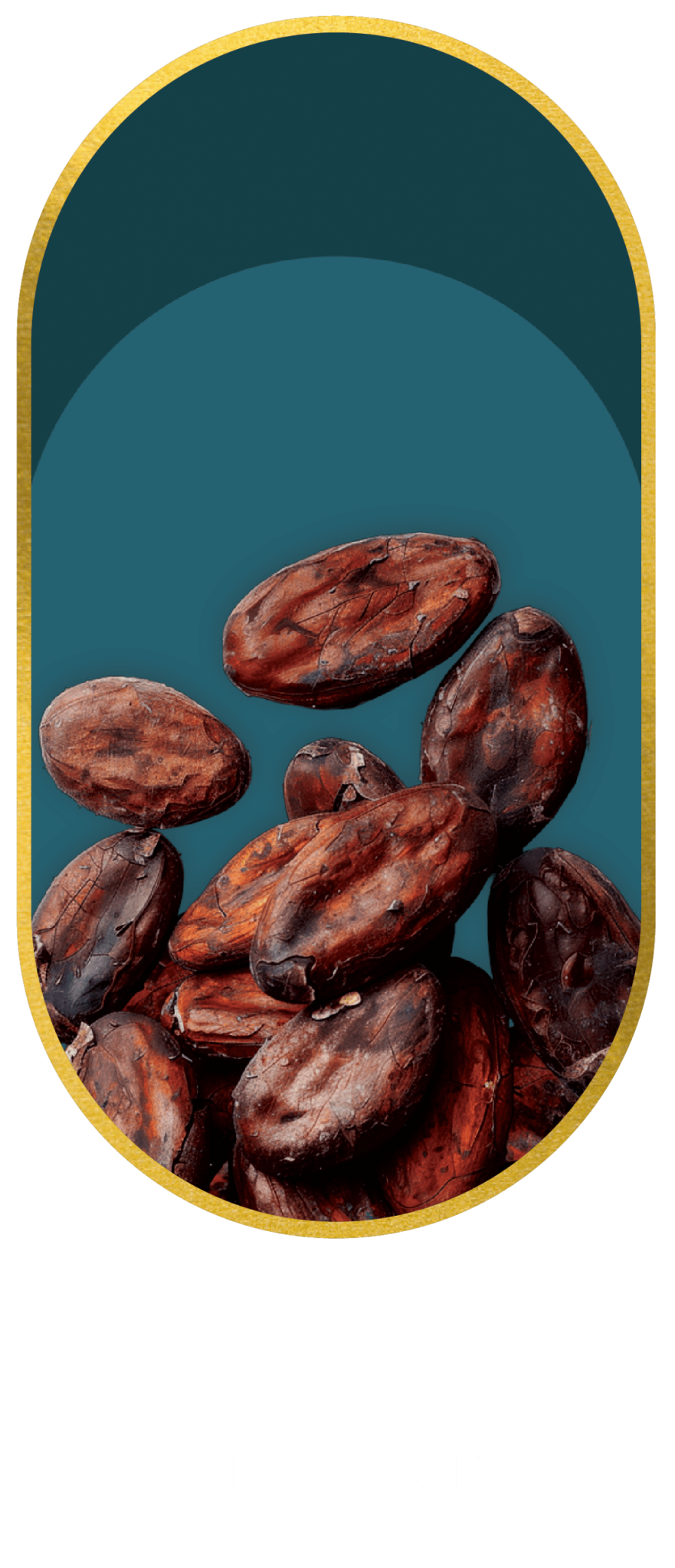 Chocolate – Zuma Drinks